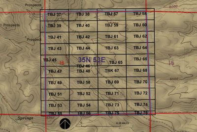 Swales Project - Nevada Canyon Gold